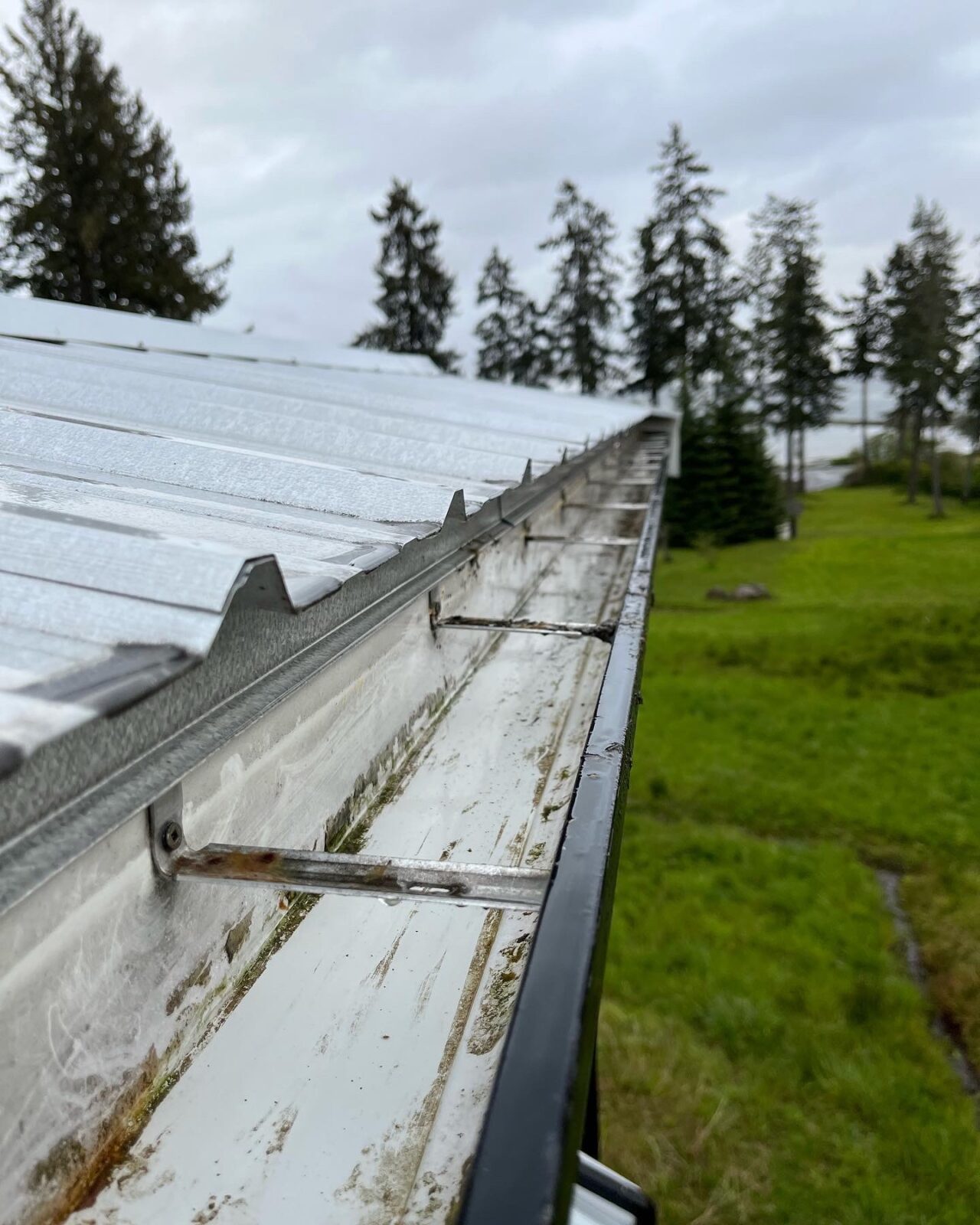 Tartan Window Cleaning Services | Professional Window, Gutter and ...